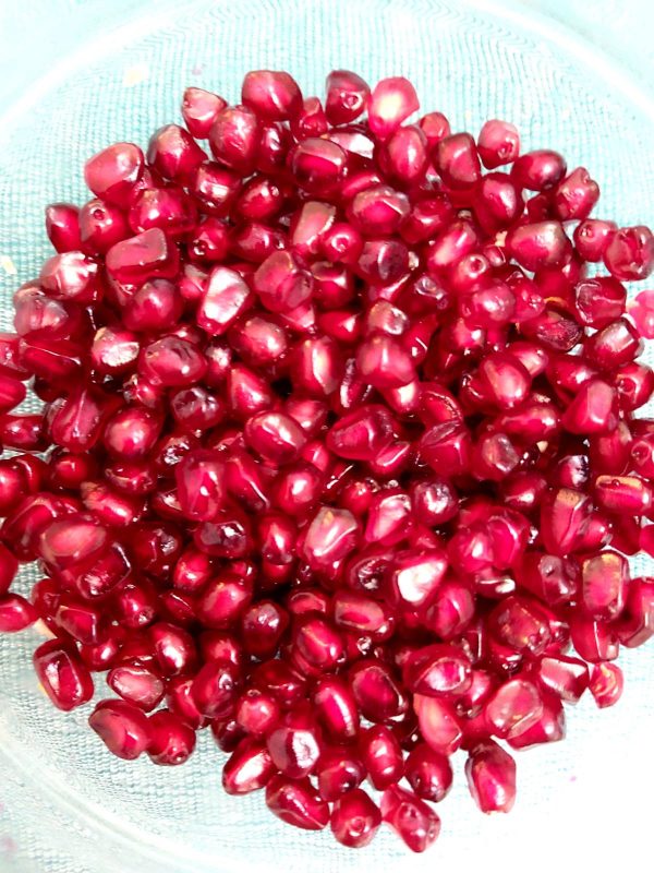 Šipak (barski, slatki) - Botanički Vrh