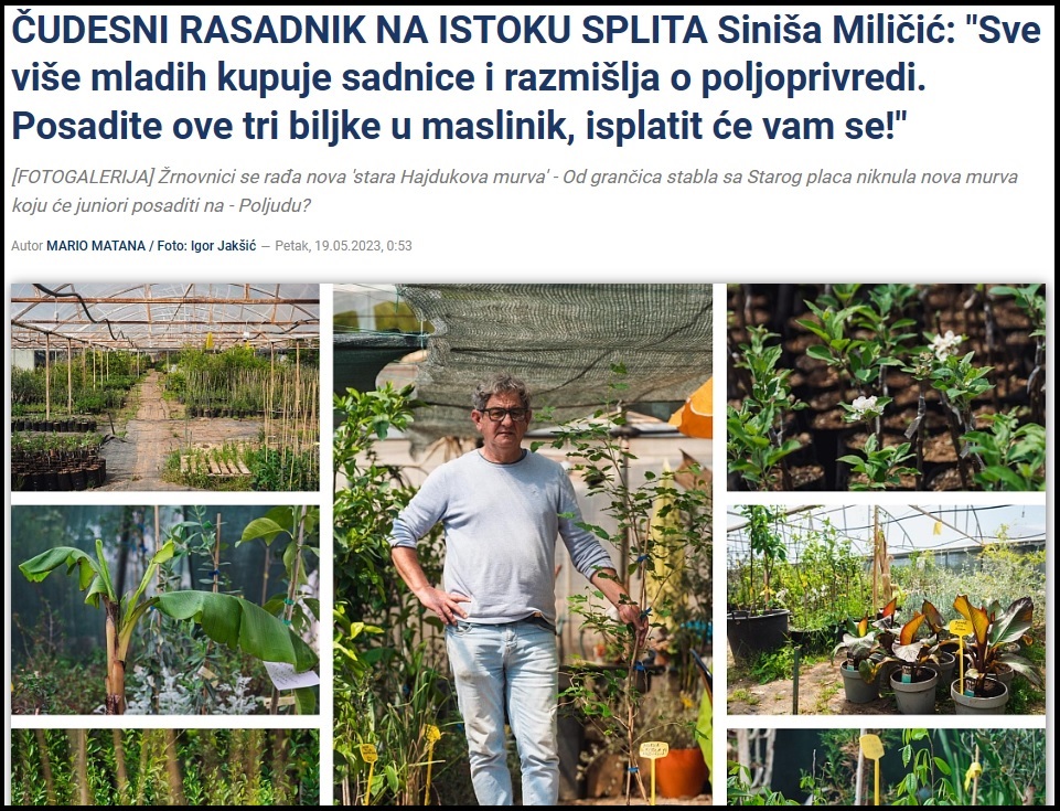 Fotografije - Botanički Vrh